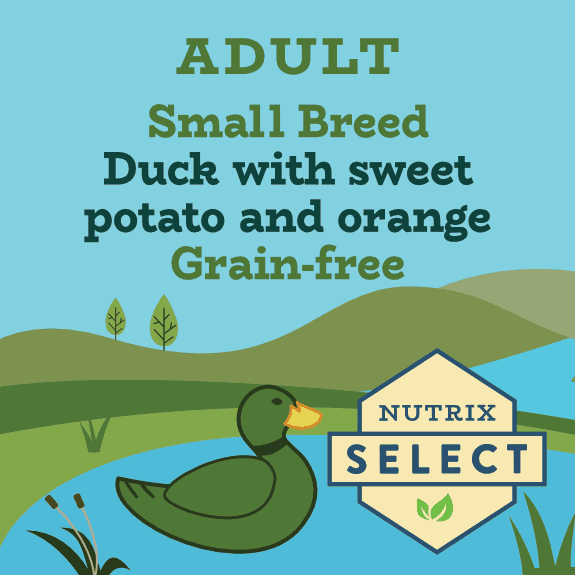 Chicken Free Dog Food | Grain Free & Hypoallergenic Recipes
