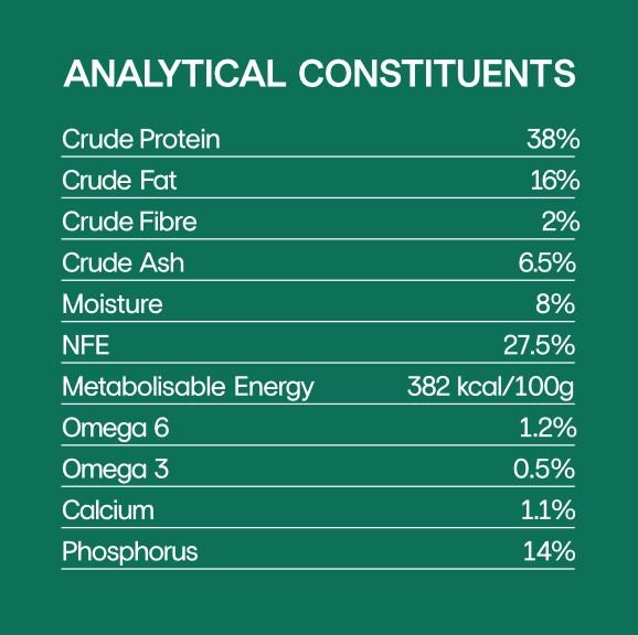 Single protein and grain free Black Angus Beef dog food with vegetables
