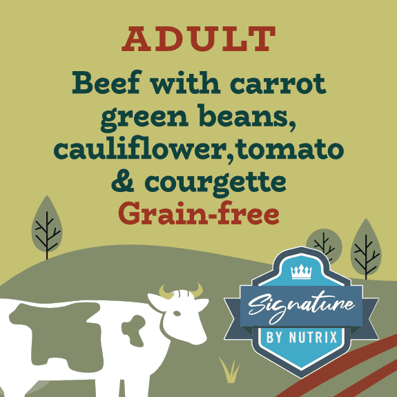 Single protein and grain free Black Angus Beef dog food with vegetables