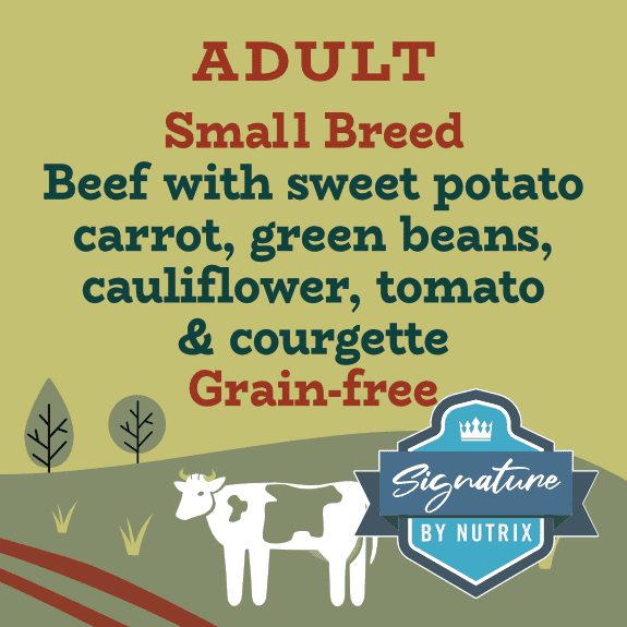 Grain-Free Grass-Fed Black Angus Beef Small Breed Dog Food | High ...