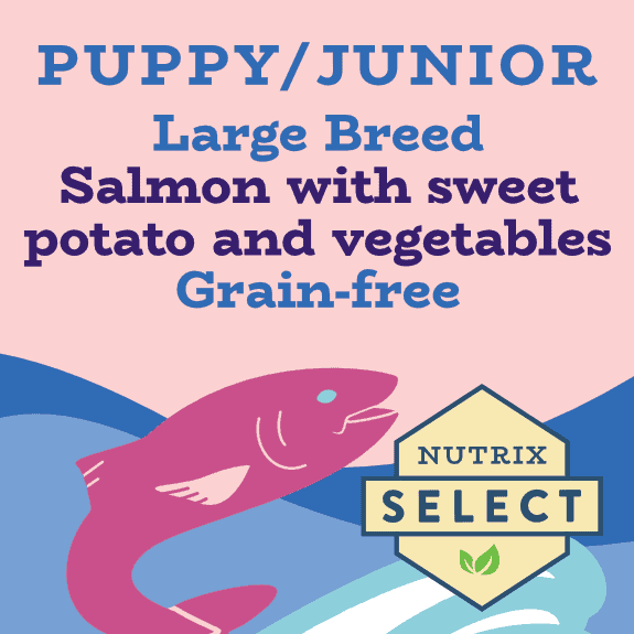 Chicken Free Dog Food | Grain Free & Hypoallergenic Recipes