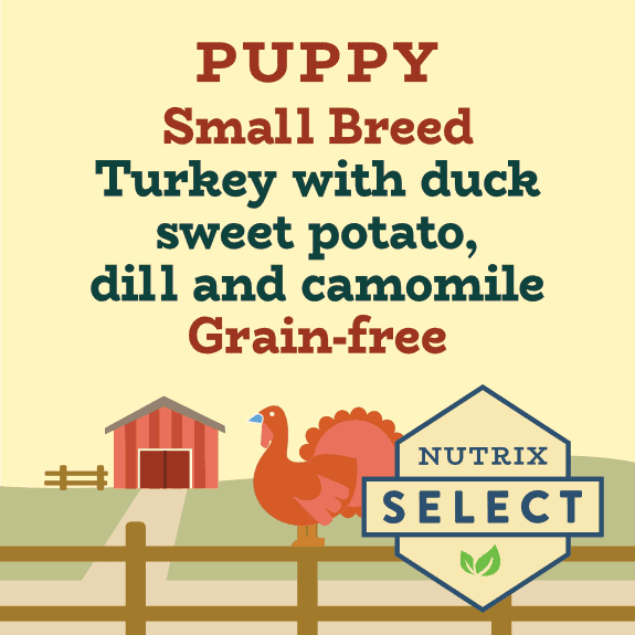 Chicken Free Dog Food | Grain Free & Hypoallergenic Recipes